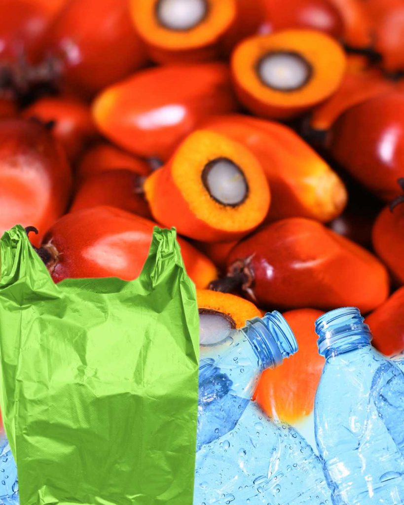 Planet vs. Plastics? Choose Planet with Palm-Based Bioplastics – MPOC