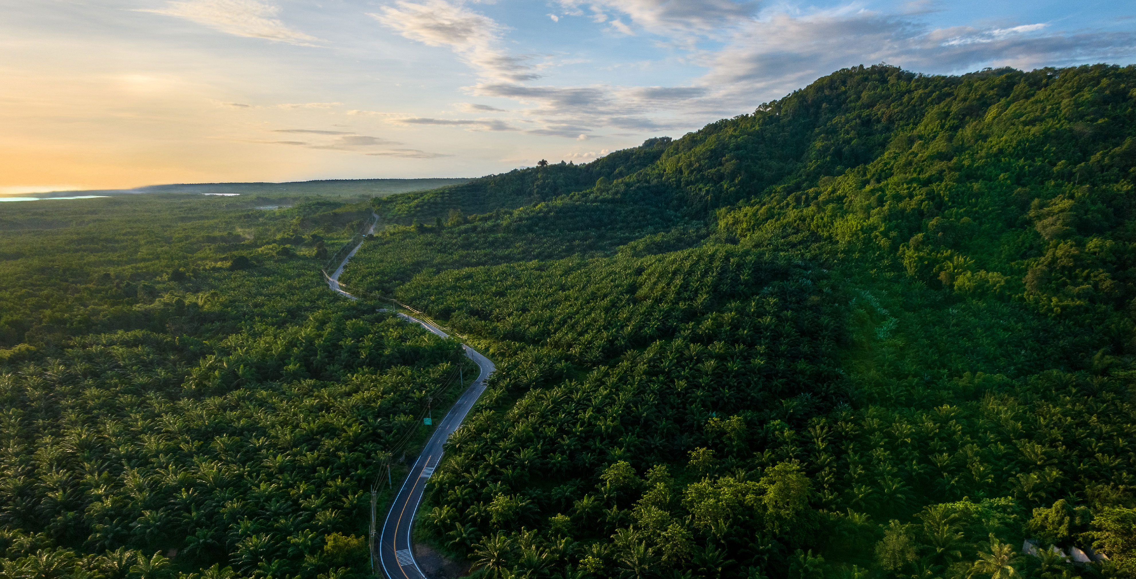 MPOC – Malaysian Palm Oil Council (MPOC)