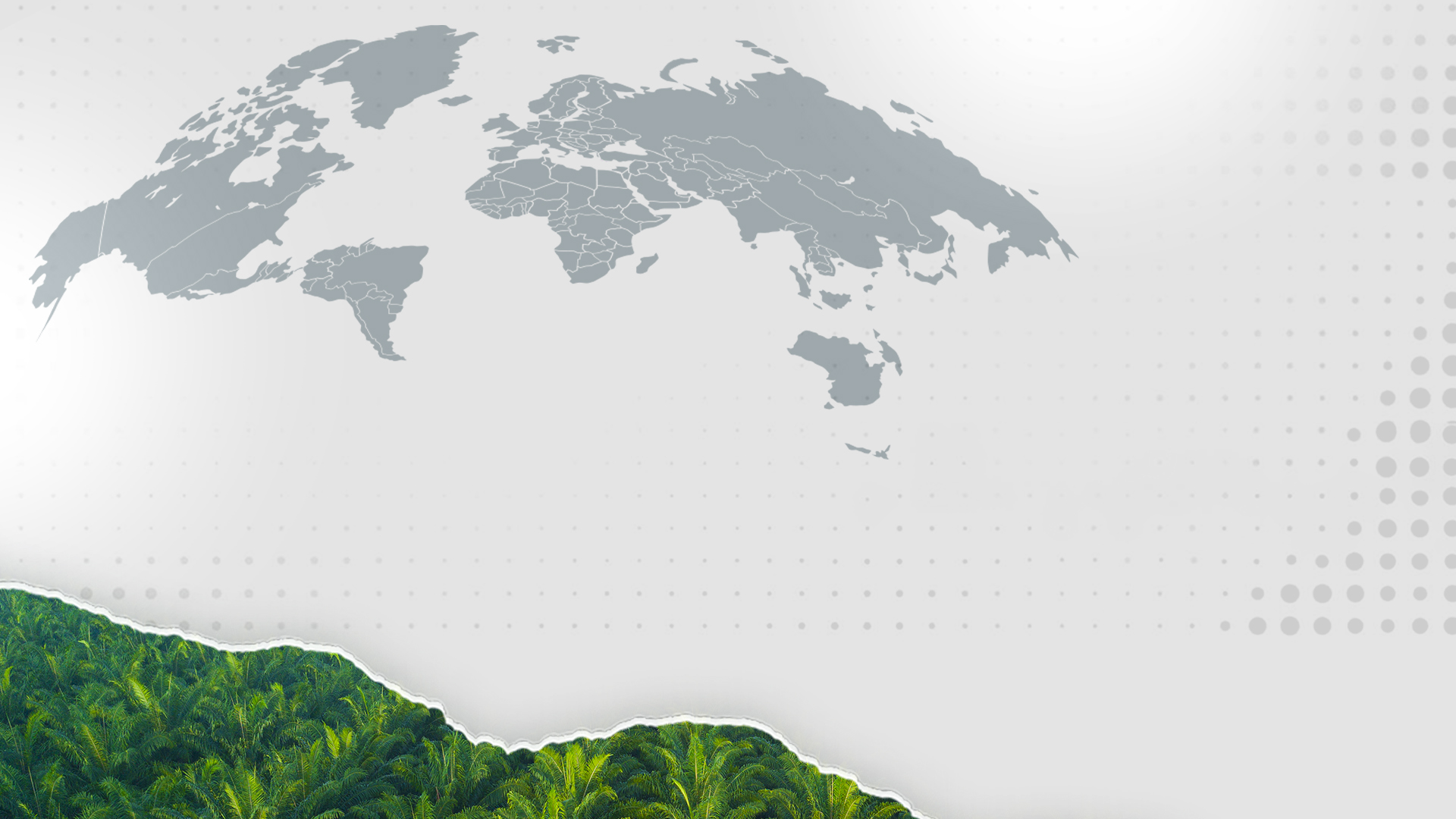 MPOC – Malaysian Palm Oil Council (MPOC)