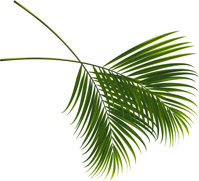 MPOC – Malaysian Palm Oil Council (MPOC)