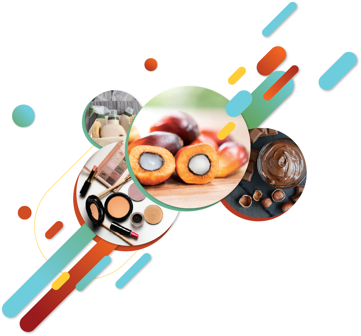 MPOC – Malaysian Palm Oil Council (MPOC)