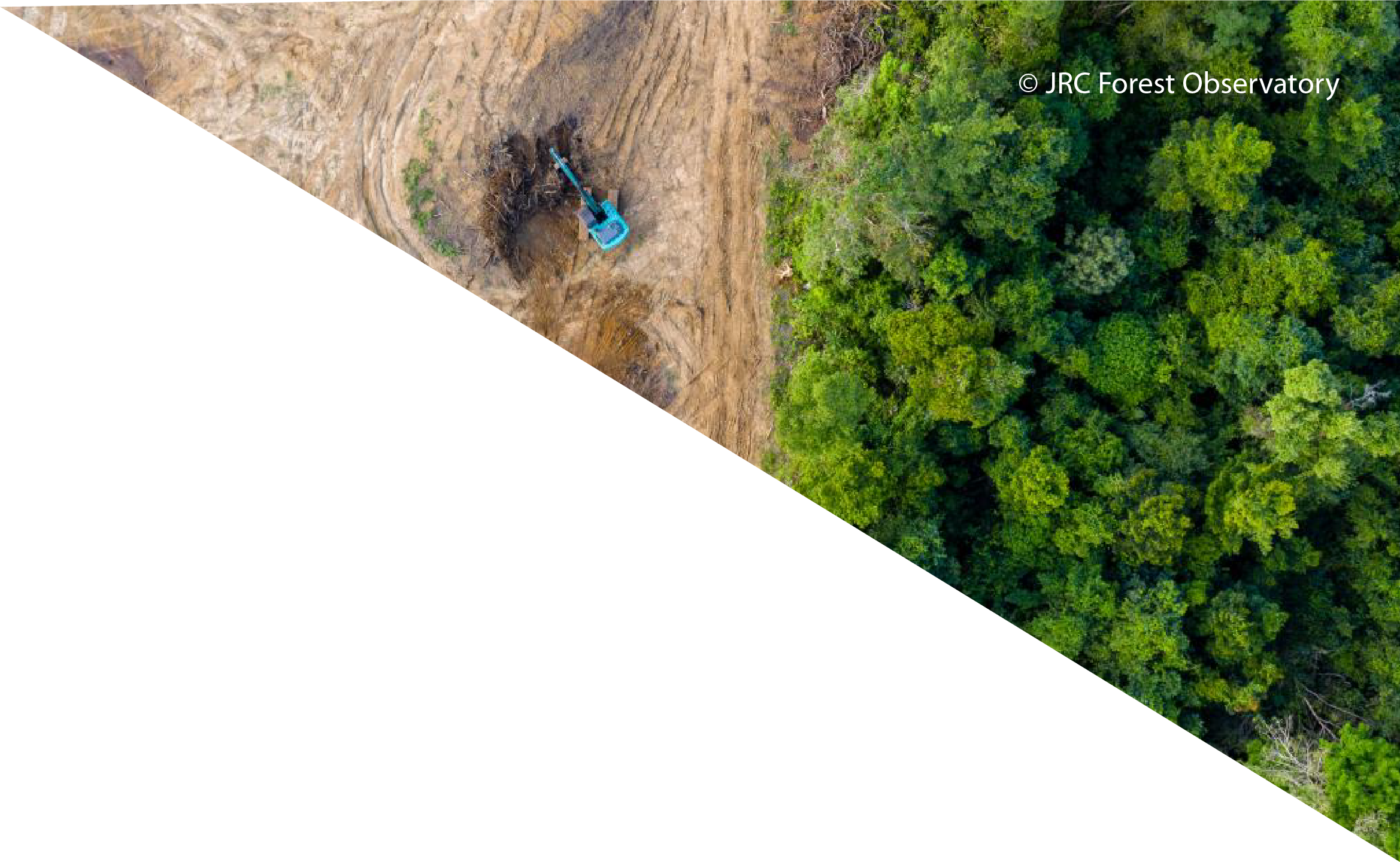 MPOC – Malaysian Palm Oil Council (MPOC)