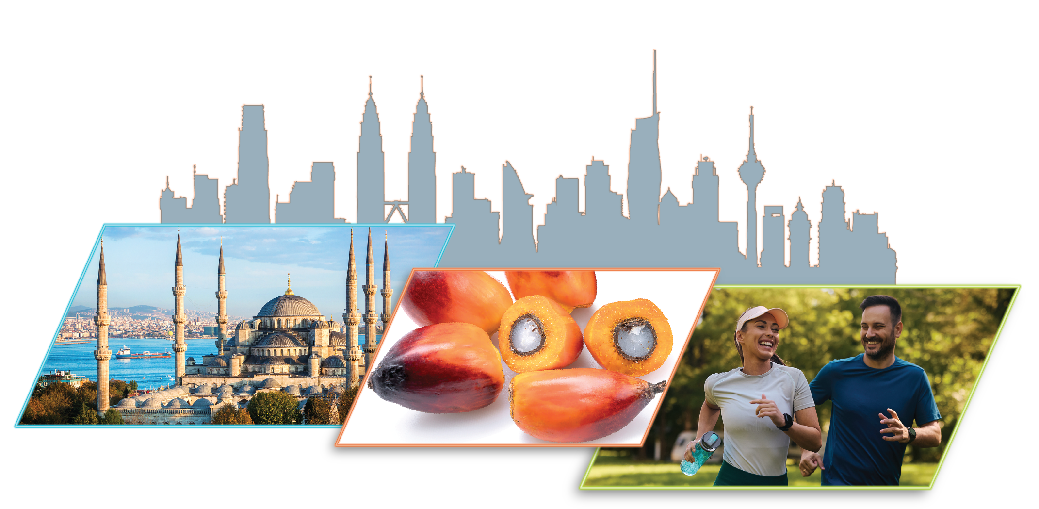 MPOC – Malaysian Palm Oil Council (MPOC)