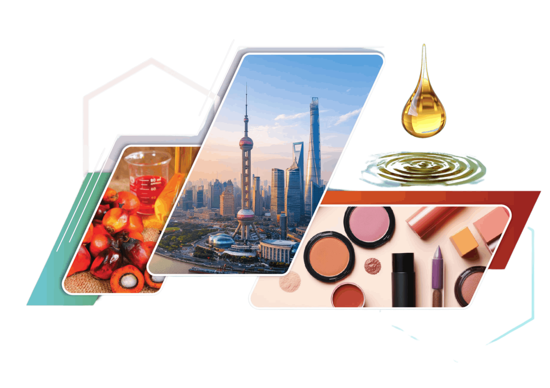 MPOC – Malaysian Palm Oil Council (MPOC)